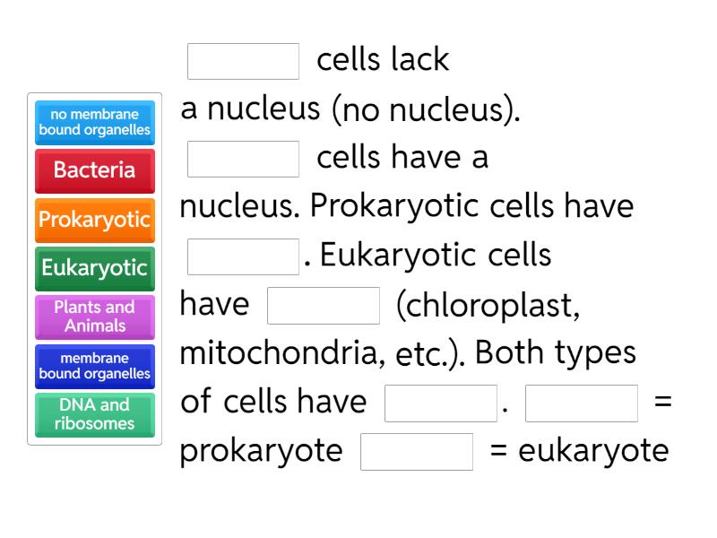BIOLOGY STAAR REVIEW - Complete the sentence