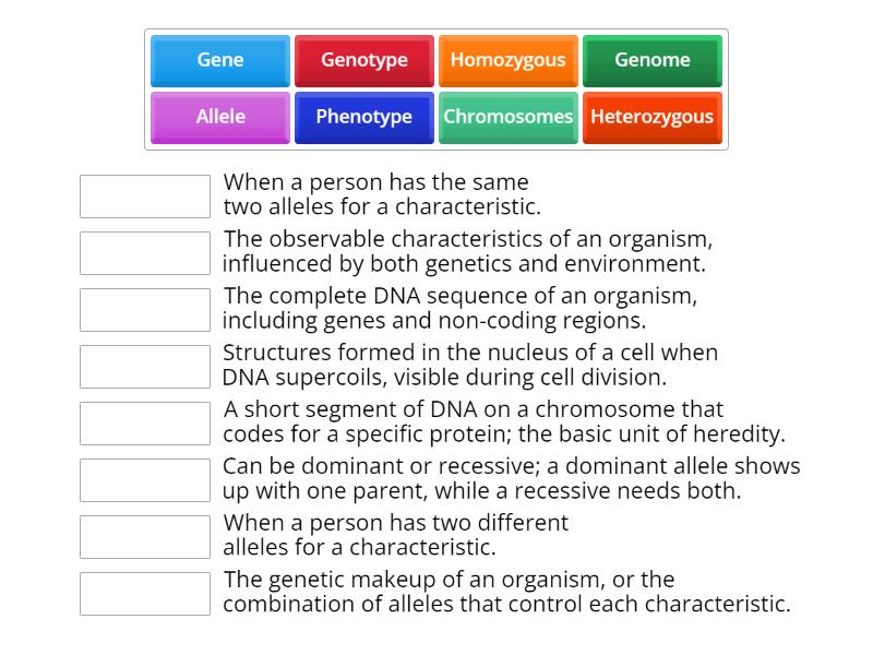 Genetics key words - Match up