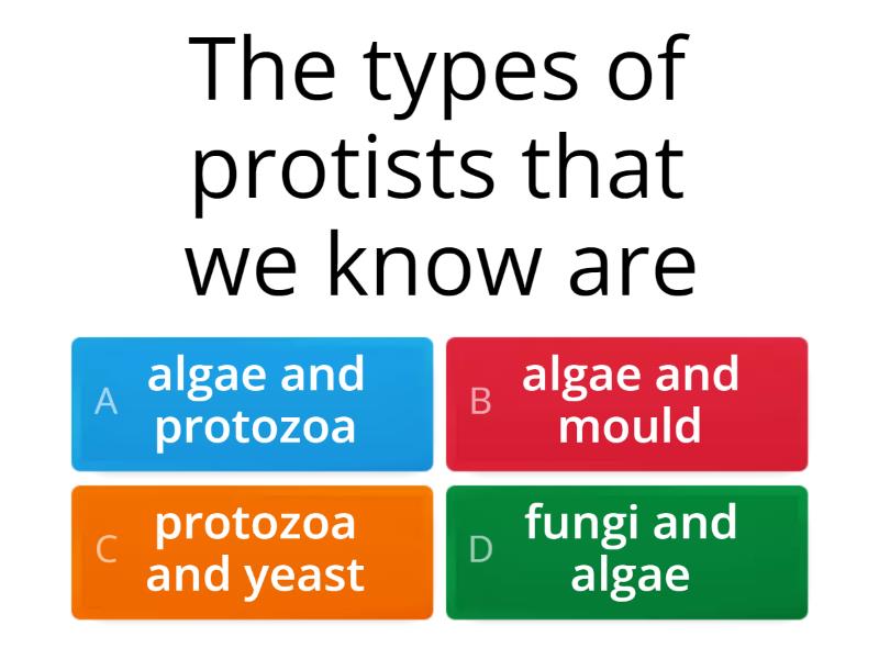 Protista and bacteria - Quiz