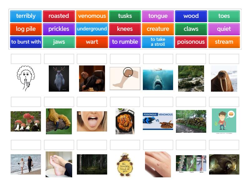 The Gruffalo - Match up