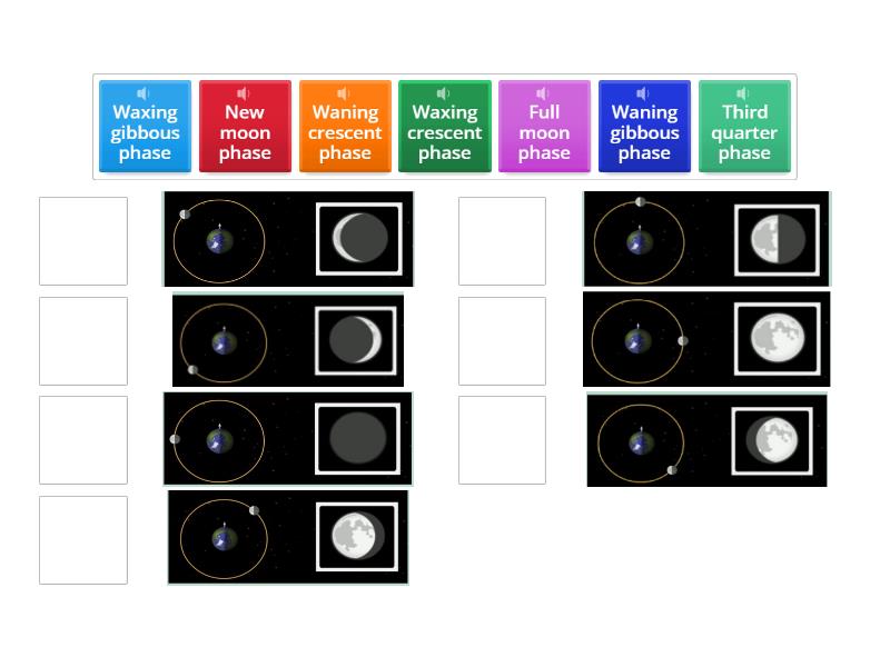 Moon phases - Match up