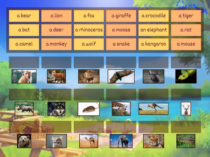 Wild animals - Match up