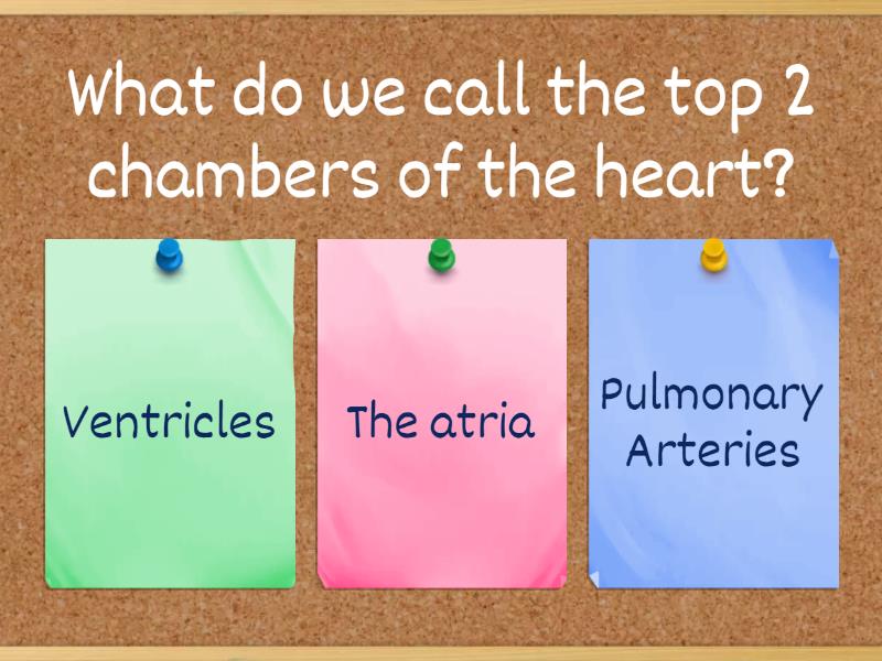 Science Lesson 8 The Cardiovascular System - Quiz