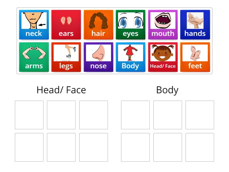 Body parts sorting activity OW1-U7-W1 - Group sort