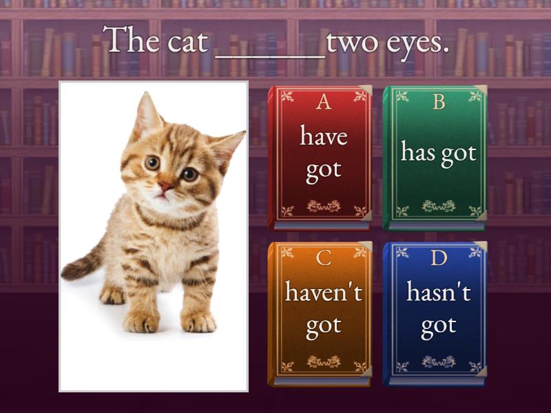 Have got/has got + negative - Quiz