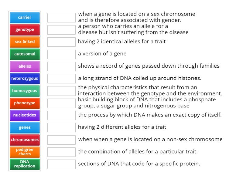 Genetics Definitions - Match up
