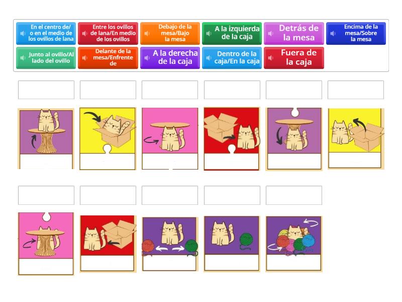 Dónde está el gato? Preposiciones y adverbios de lugar (Prof Silvia ...