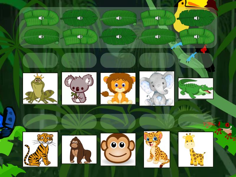 Wild Animals - Match up