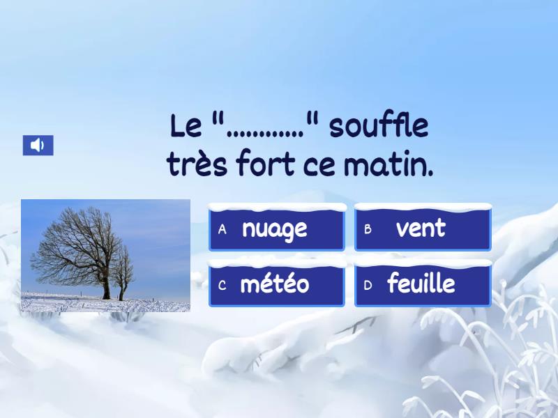 Le vocabulaire de l'hiver 2 - Quiz