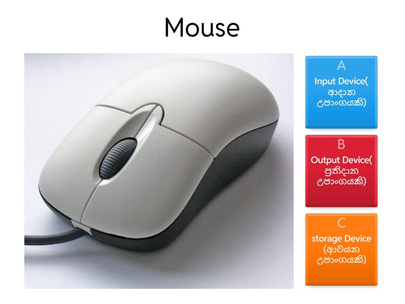 Input and output devices -leads school of computing - Quiz