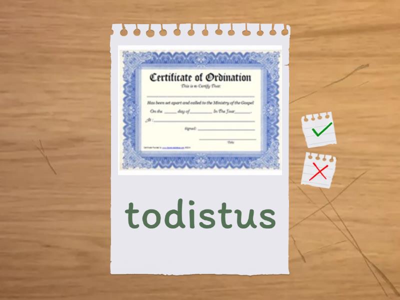 OS US YS: Tee monikko - Flash cards