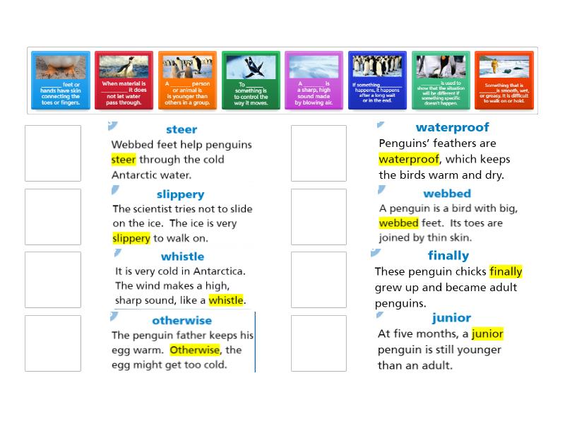 Copy of Penguin Chick Vocabulary - Match up