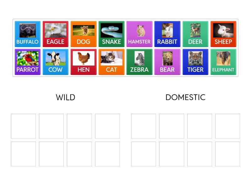 ANIMALS - Group sort
