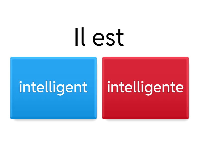 Les adjectifs - Quiz