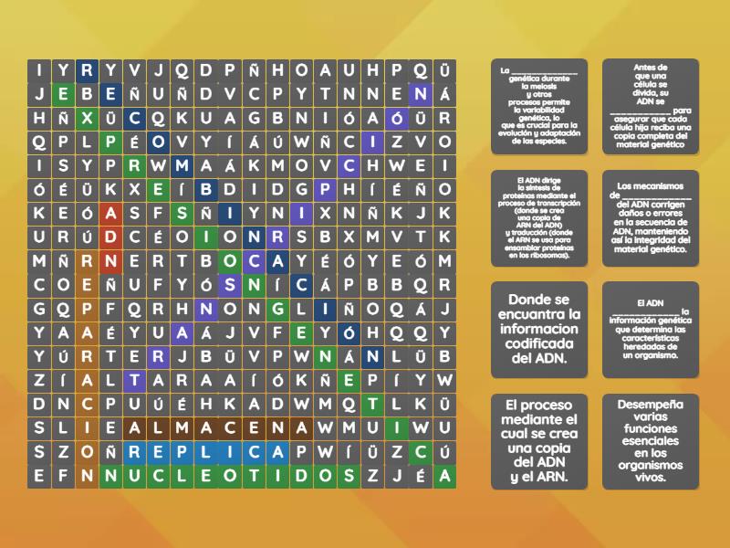 ADN - Sopa de letras