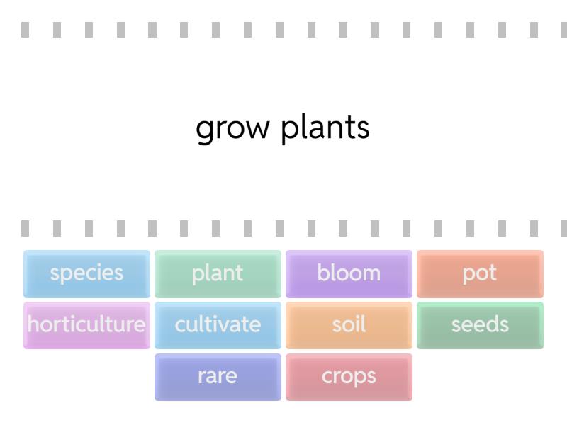 Gardening EGE - Find the match