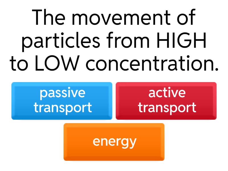 Cellular Transport Review - Quiz