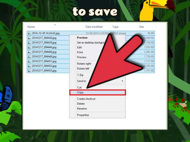La Computadora - Flying fruit