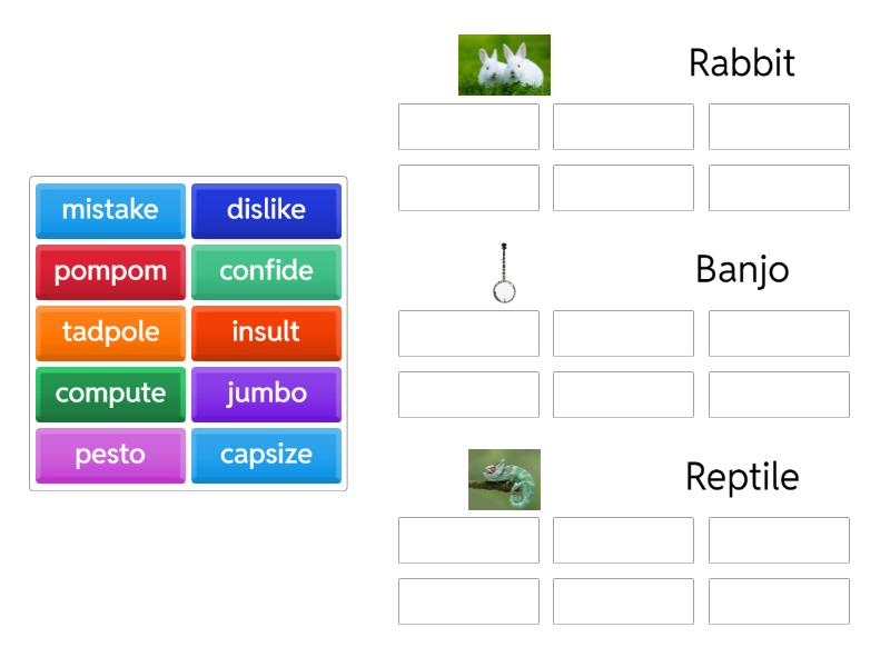 Reptile Lesson Session 3 (Syllable Division Sort) - Group sort