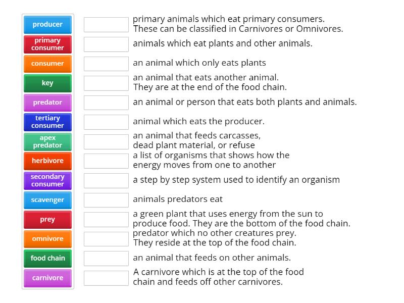 National 5 Environmental Science Food Chains - Match up
