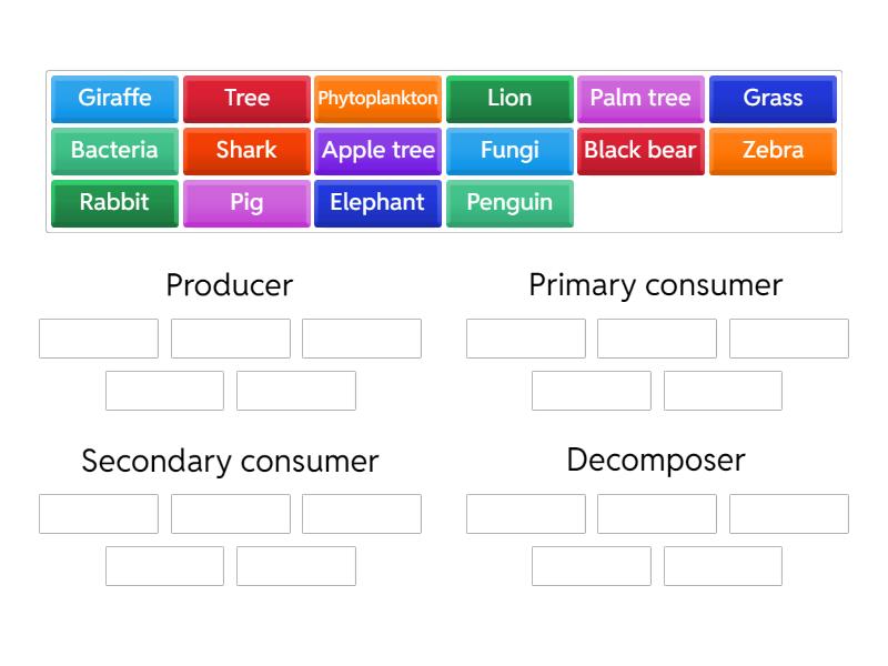 Food Chain Sort - Group sort