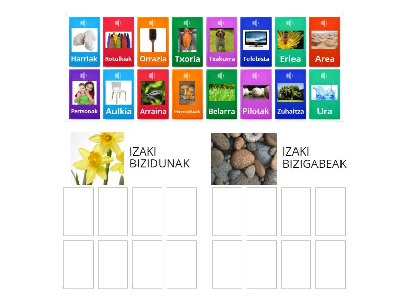 IZAKI BIZIDUNAK ETA BIZIGABEAK! - Ordenar por grupo