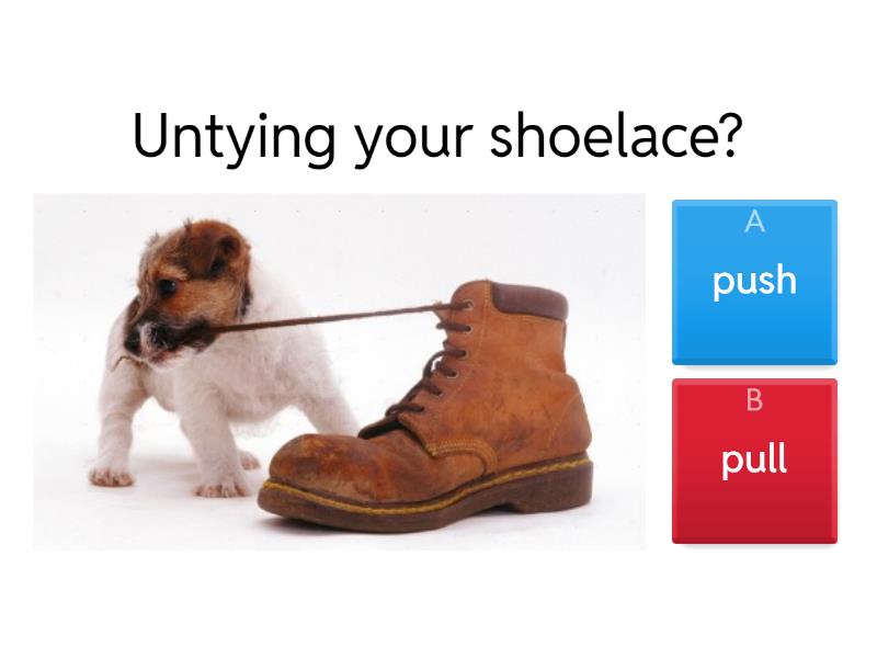 Forces - Push or Pull - Quiz