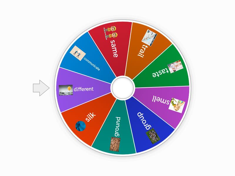 Bugs - Spin the wheel