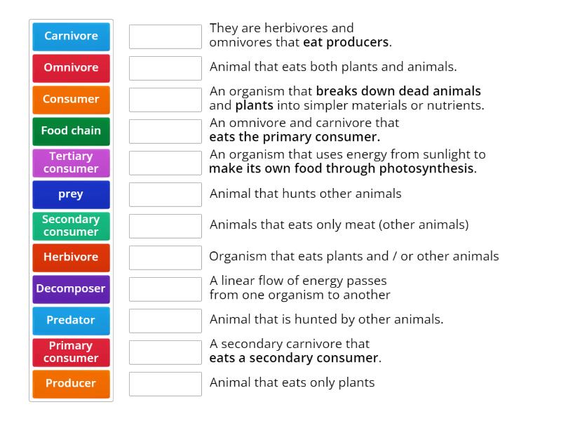 Food Chain and Food Webs Key Terminologies: Producers, Consumers and ...