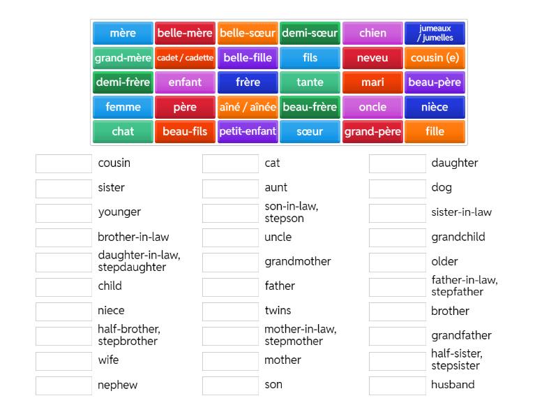 Common Family Vocabulary French - Match up