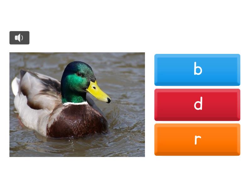 PE - What letter does the word start with? - Quiz