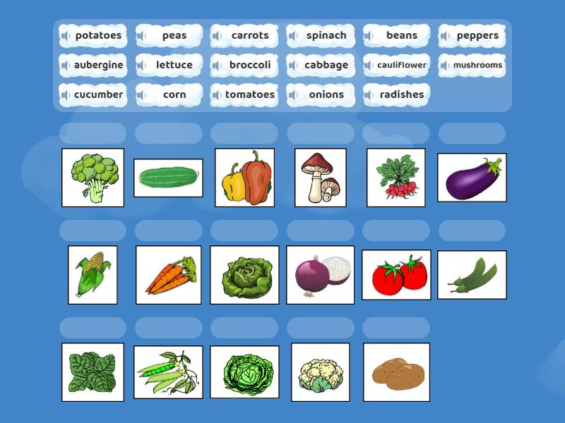 Vegetables - Match up