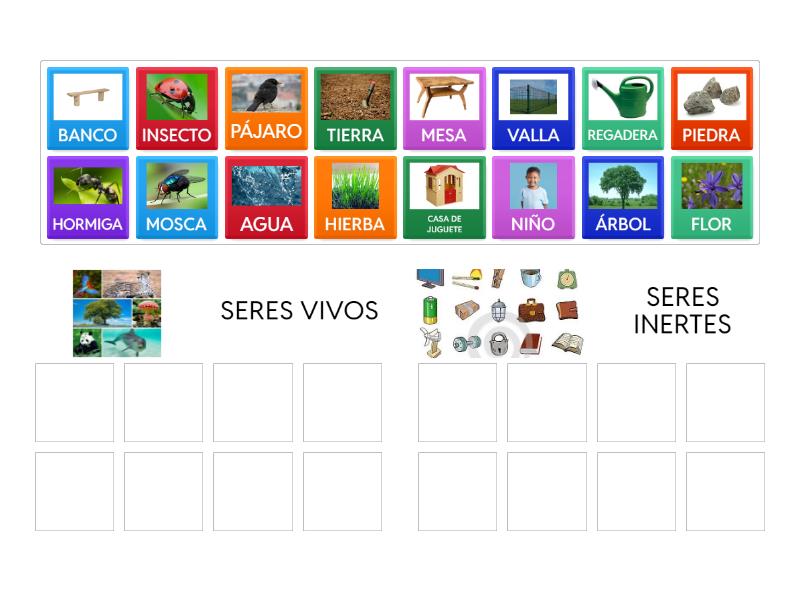 Seres vivos y seres inertes - Group sort