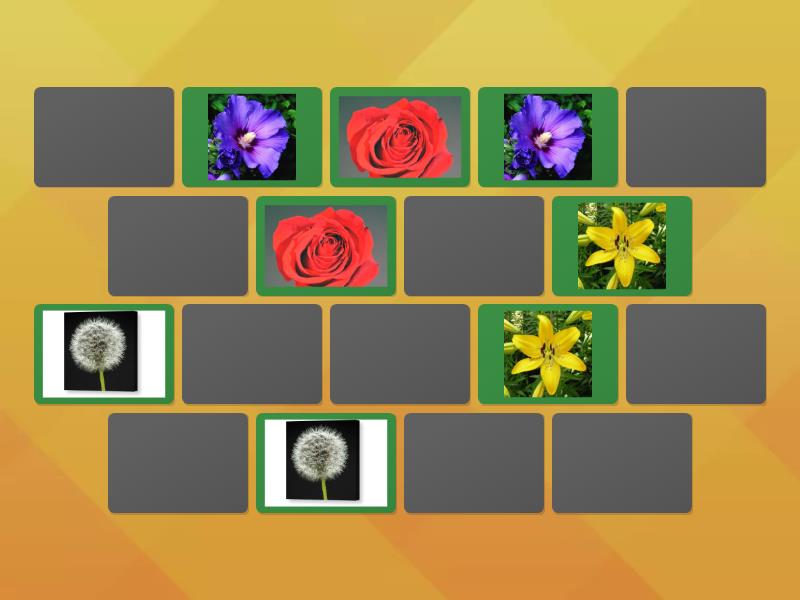 pair me up - Matching pairs