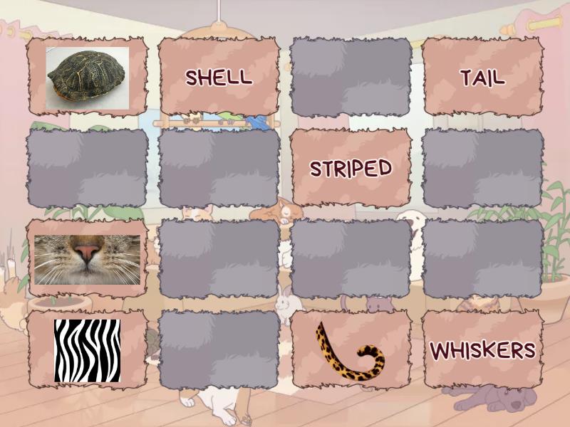 Memory game - Animal body parts - Matching pairs