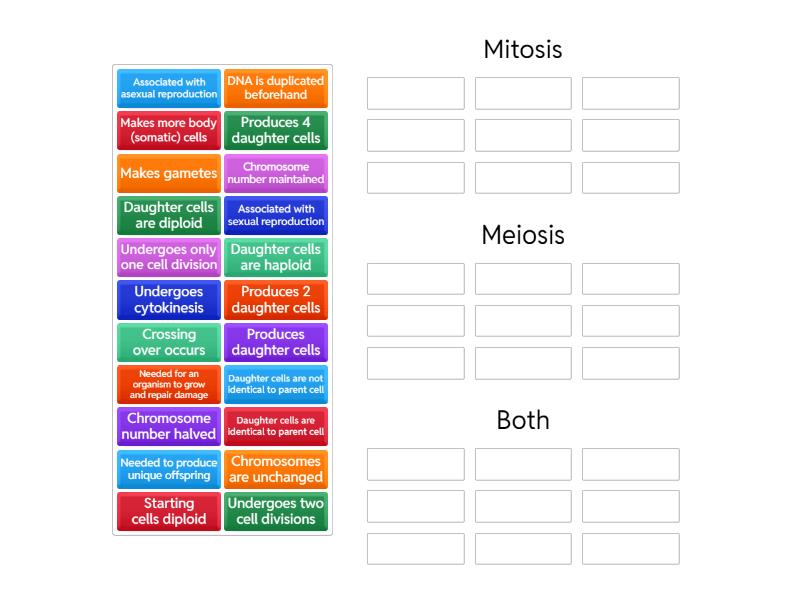 Year 10 Genetics: Mitosis and Meiosis - Group sort
