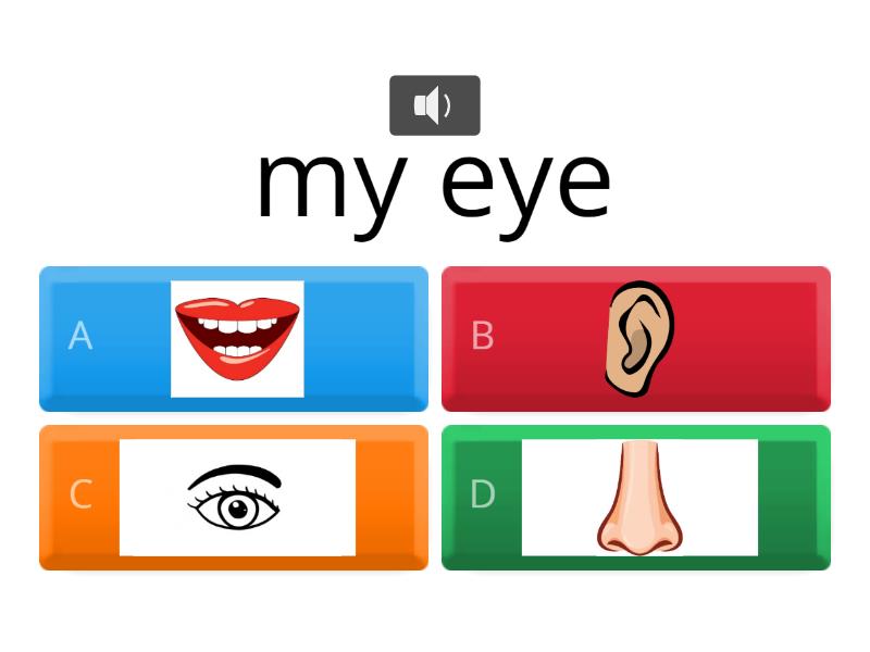 Five senses - Choose the correct answer - Quiz