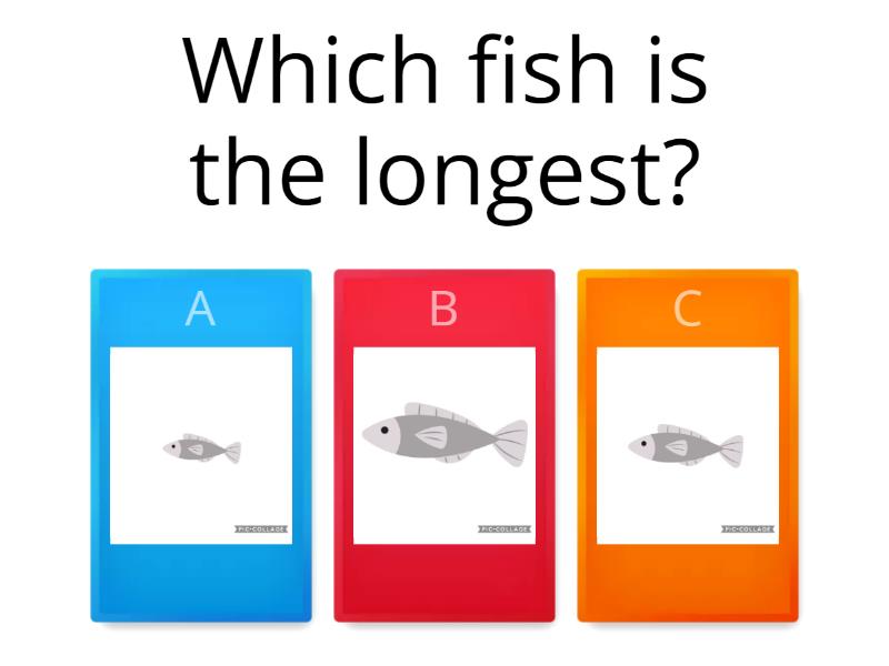 Comparison of length using shorter, longer, shortest and longest - Quiz