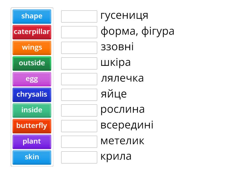Butterfly - Match up