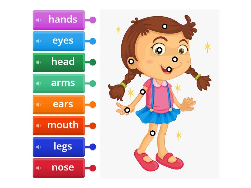Tiger & Friends 1 Unit 2 body parts - Labelled diagram