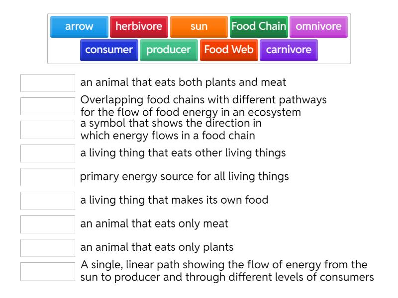 Food Chain/ Web Vocabulary - Match up