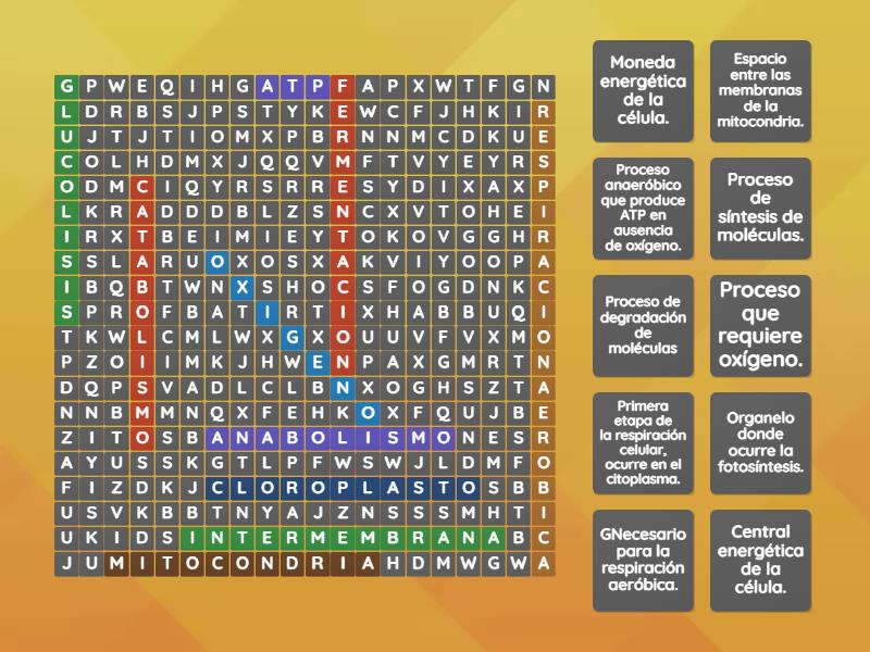 SOPA DE LETRAS BIOLOGIA - Kelime avı