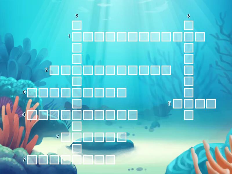 COMMON QUESTIONS 2B - Crossword