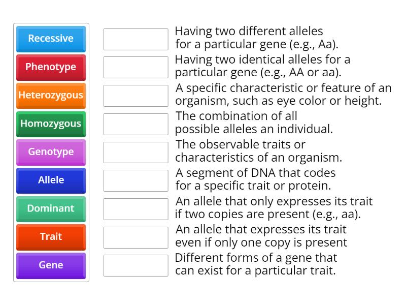 Genetics Vocabulary Match - Match up