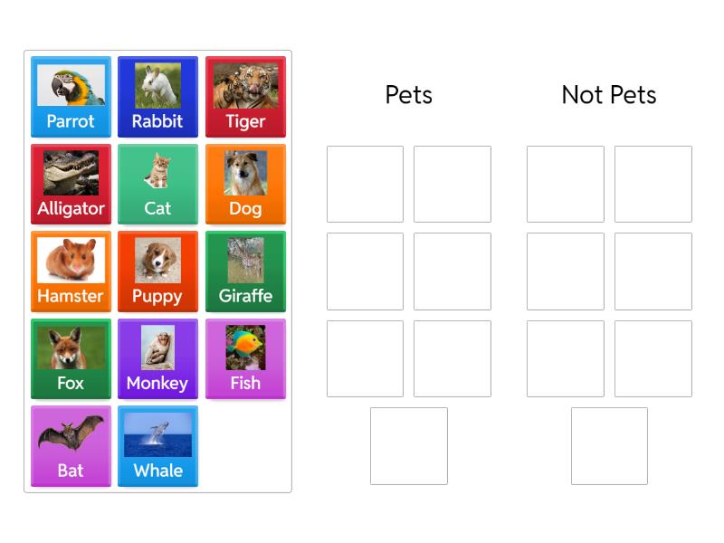 Pets or Not Pets - Group sort