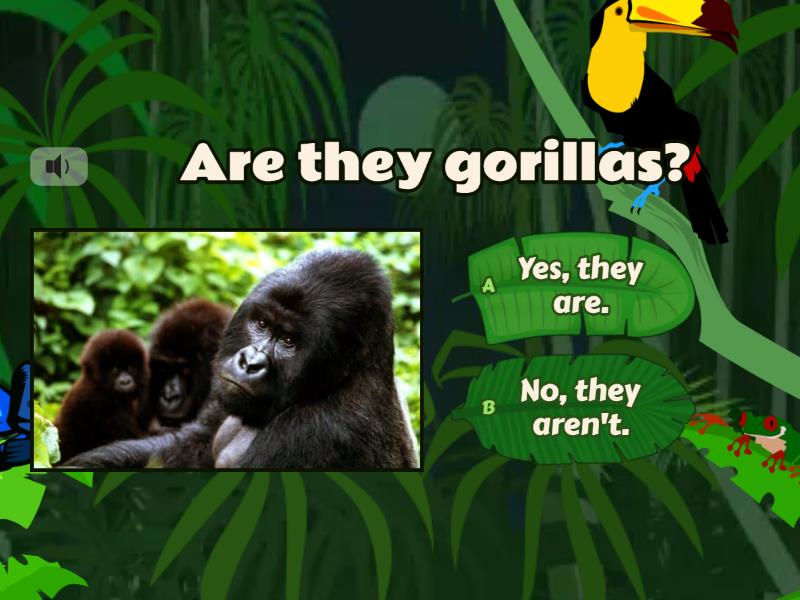 I like animals - Unit 1 (learn with us) (animals, characteristics and ...