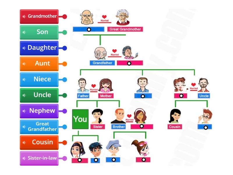 Family tree - Labelled diagram