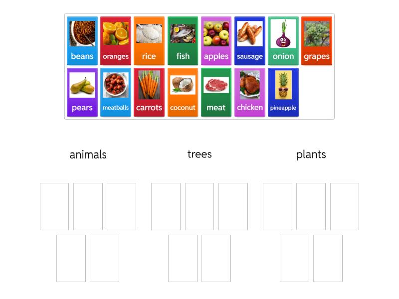 Where does food come from? KB2 U6 CLIL - Group sort
