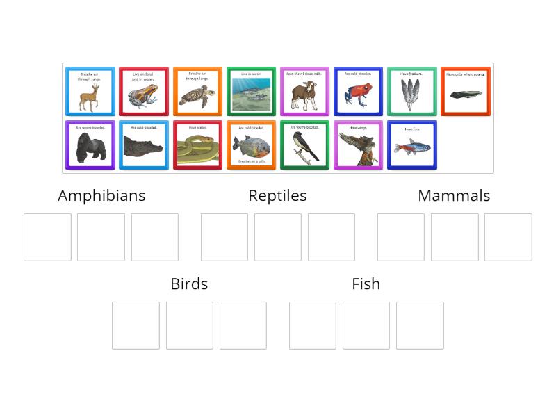Game of Vertebrate Animal Groups - Group sort
