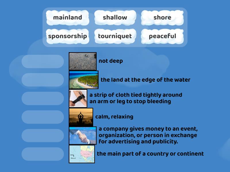 Soul Surfer Vocabulary - Match up